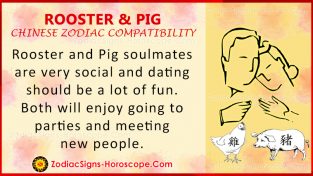 Rooster and Pig Compatibility: Zodiac Traits and Love Compatibility