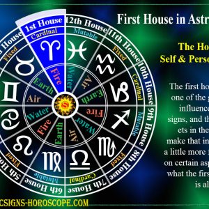 Astrological Houses: Learn About The 12 Astrological Houses | ZSH