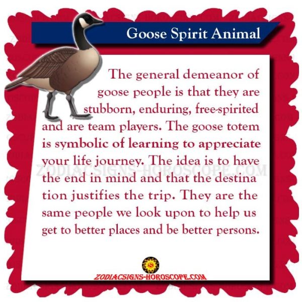 Goose Spirit Animal: Meaning, Symbolism, Dream of the Goose Totem