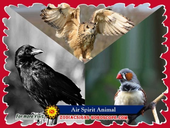 Air Animal Totems: Meaning and Symbolism of the Air Spirit Animals