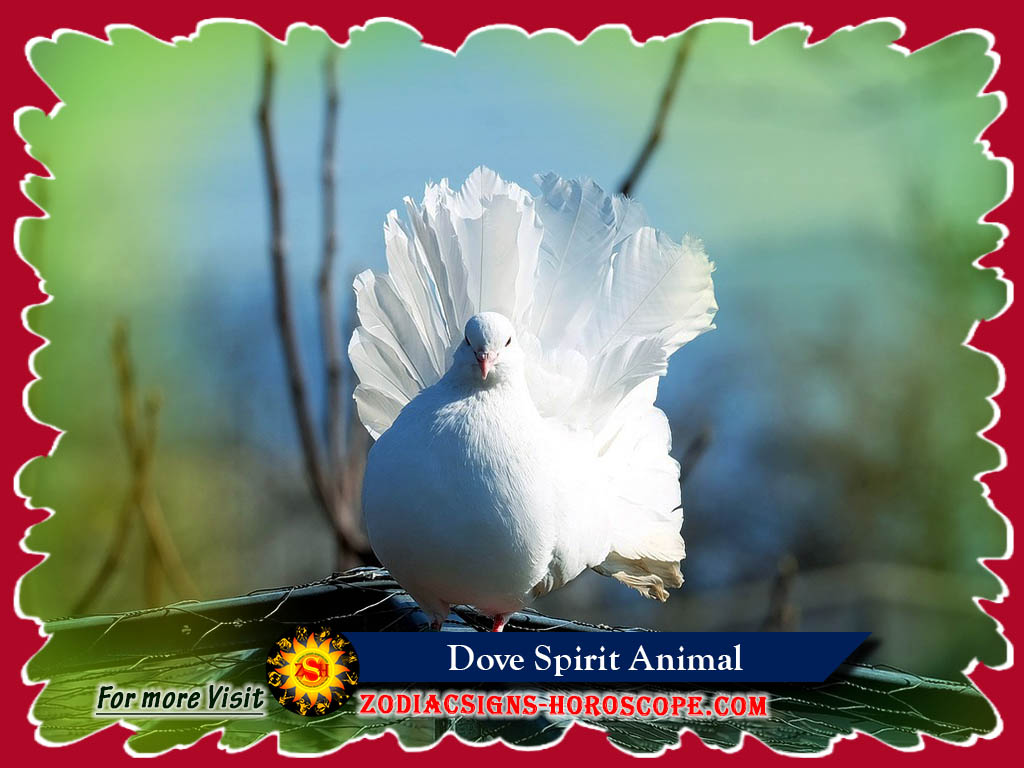 Dove Spirit Animal: Meaning, Symbolism, Dream of the Dove Totem