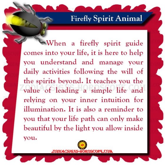 Firefly Spirit Animal: Meaning and Symbolism of Firefly Animal Totem