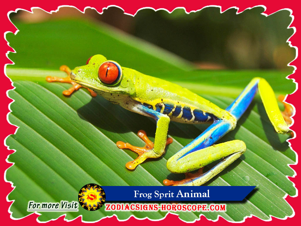 Frog Spirit Animal: Meaning, Symbolism and Dreams of Frog Totem