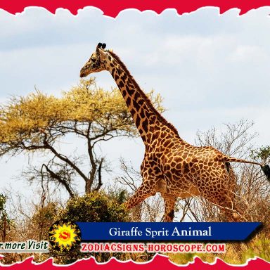 Frog Spirit Animal: Meaning, Symbolism and Dreams of Frog Totem