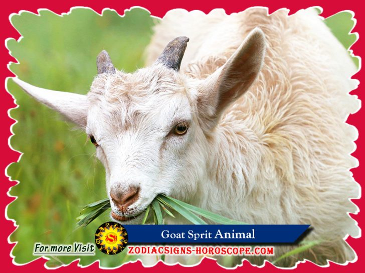 Goat Spirit Animal: Meaning, Symbolism and Dreams of Goat Totem