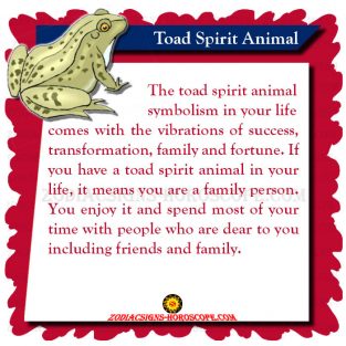 Toad Spirit Animal: Meaning and Symbolism of the Toad Totem | ZSH