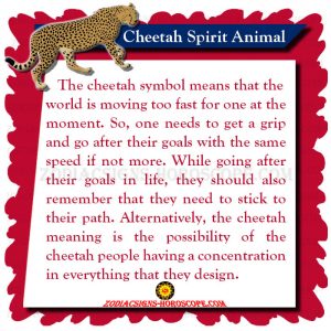 Cheetah: Spirit Animal, Totem, Meaning, Symbolism and Dream