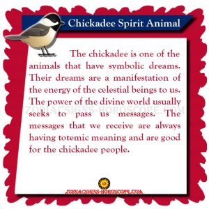 Chickadee Spirit Animal, Totem, Meaning, Symbolism and Dream