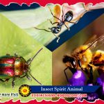 The Iguana Spirit Animal: Totem, Meaning, Symbolism and Dream