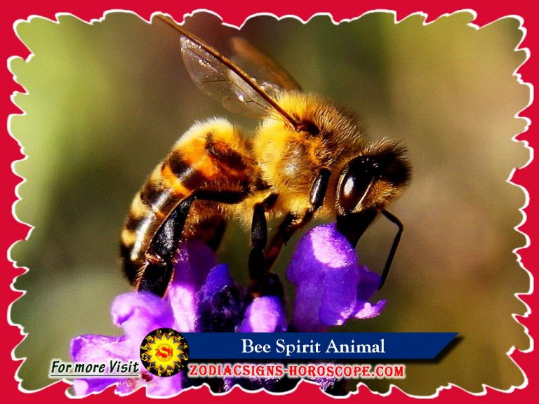 The Bee Spirit Animal: Meaning, Symbolism, Dreams of Honey Bee Totem