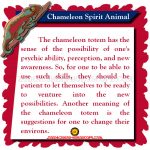 Chameleon: Spirit Animal, Totem, Meaning, Symbolism and Dreams
