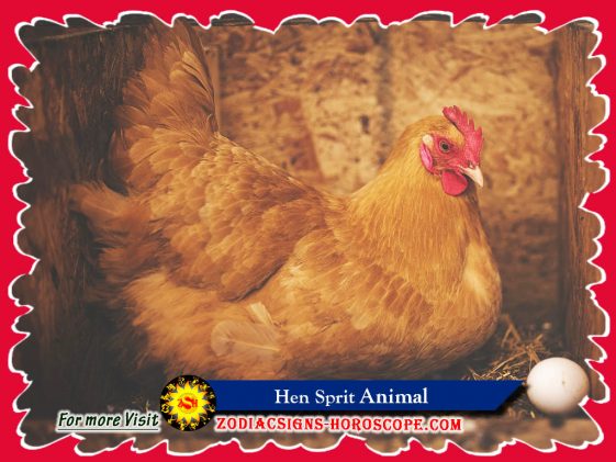 Hen Spirit Animal: Meaning, Symbolism and Dreams of Hen Totem