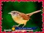 Wren Spirit Animal: Meaning and Symbolism of Wren Animal Totem | ZSH