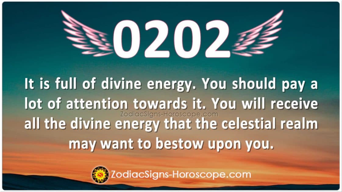 看见天使编号 0202：意义、象征意义和爱