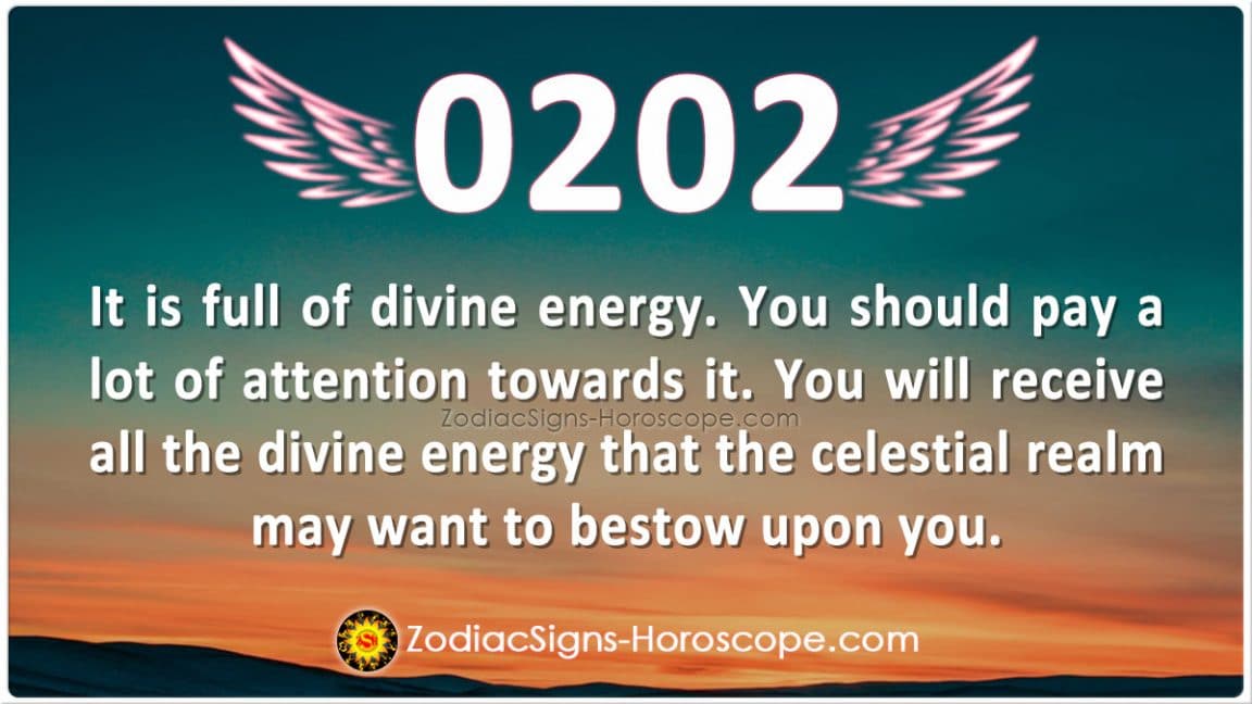 Seeing Angel Number 0202: Meaning, Symbolic Meaning, and Love