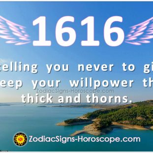 Angel Number 1717 Meaning and Spiritual Significance in Your Life | ZSH