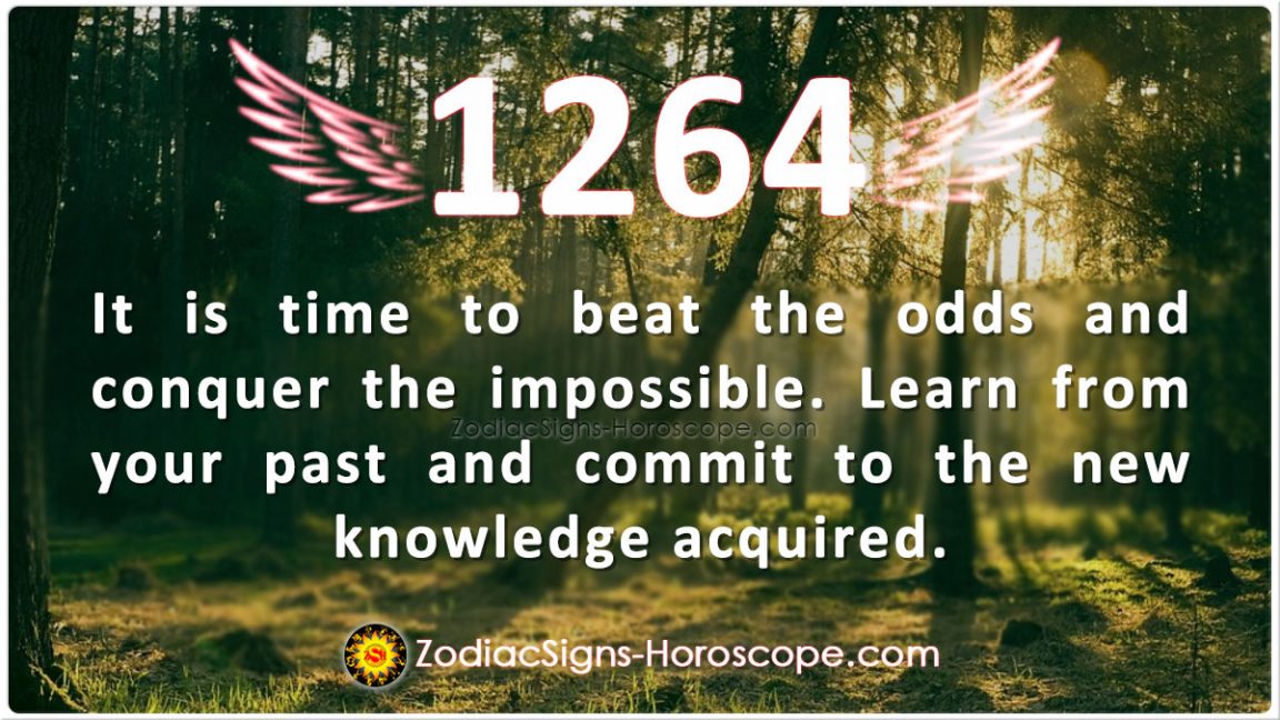 Angel Number 1264: See and Recognize the Higher Consciousness | ZSH