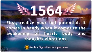 Angel Number 1564 Meaning: A Call of Vision and Hope | ZSH