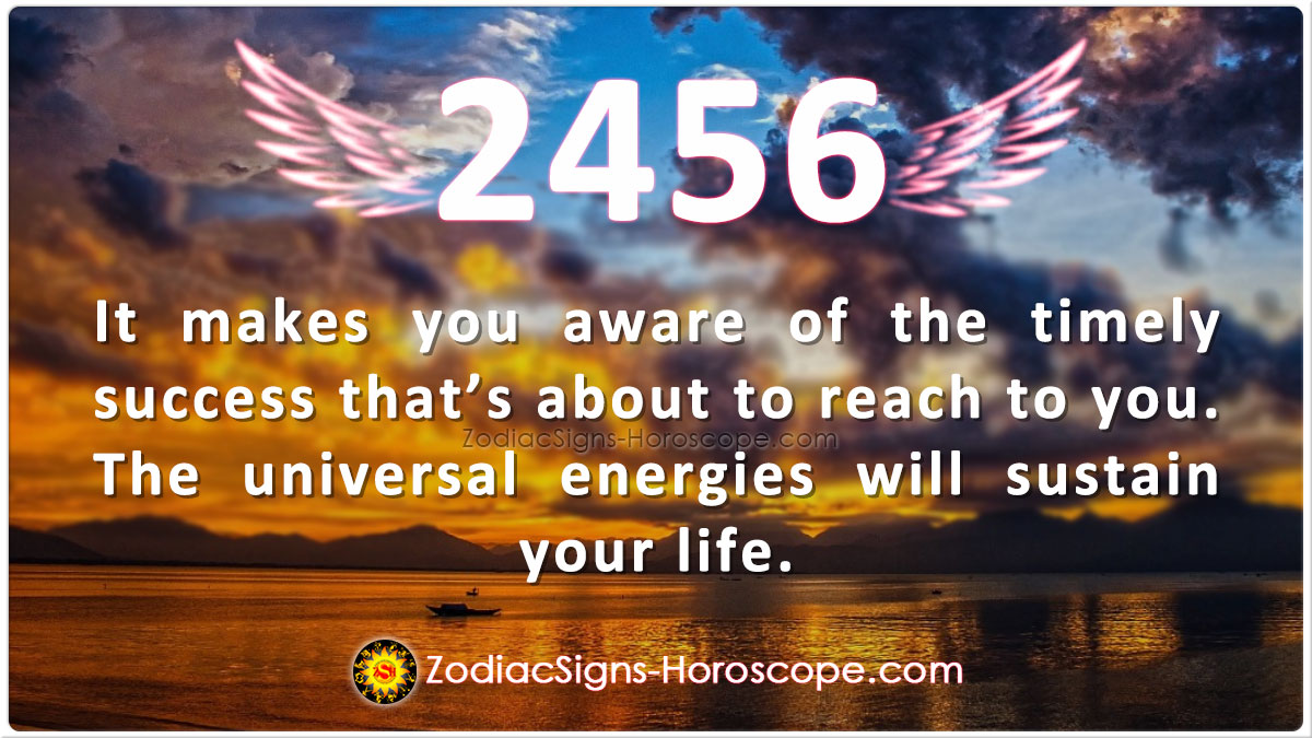 Angel Number 2456 Meaning: A Message of Hope and Success | ZSH