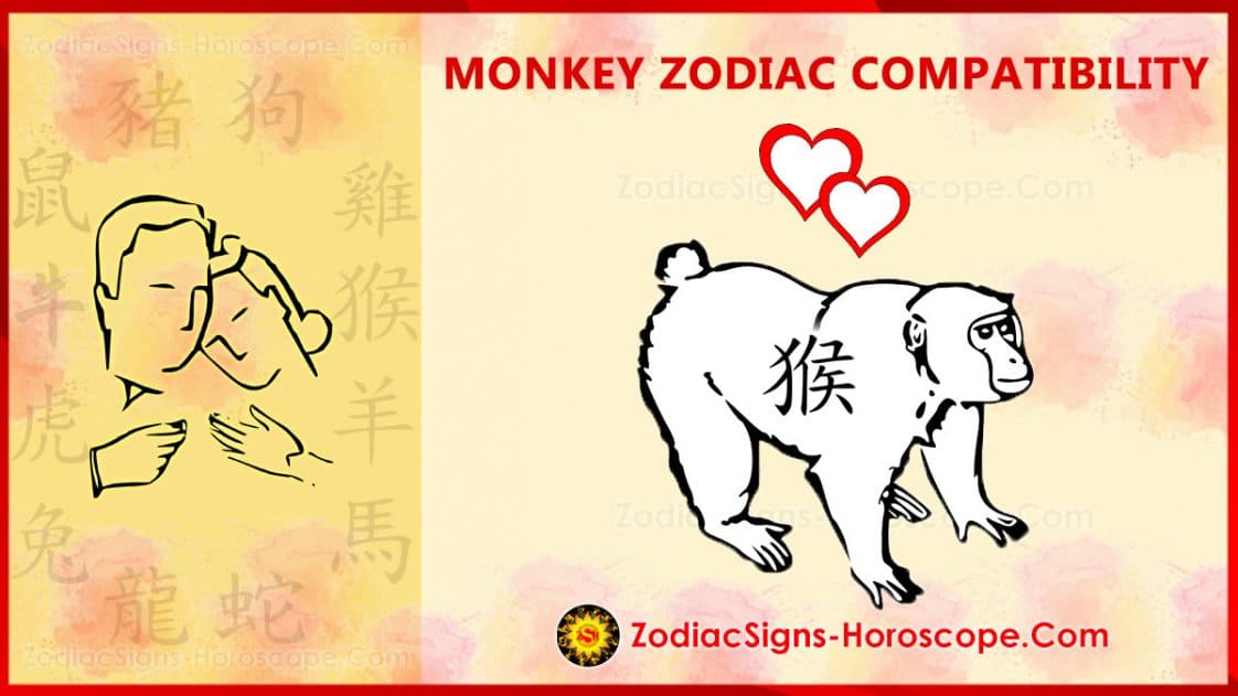 Monkey Compatibility, Love and Marriage - Chinese Zodiac Compatibility