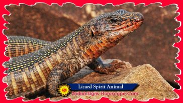 Lizard Spirit Animal: Meaning and Symbolism - Lizard Animal Totem | ZSH