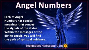 List of All Angel Numbers: Signals of the Angelic Beings | ZSH