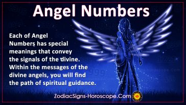 List of All Angel Numbers: Signals of the Angelic Beings | ZSH