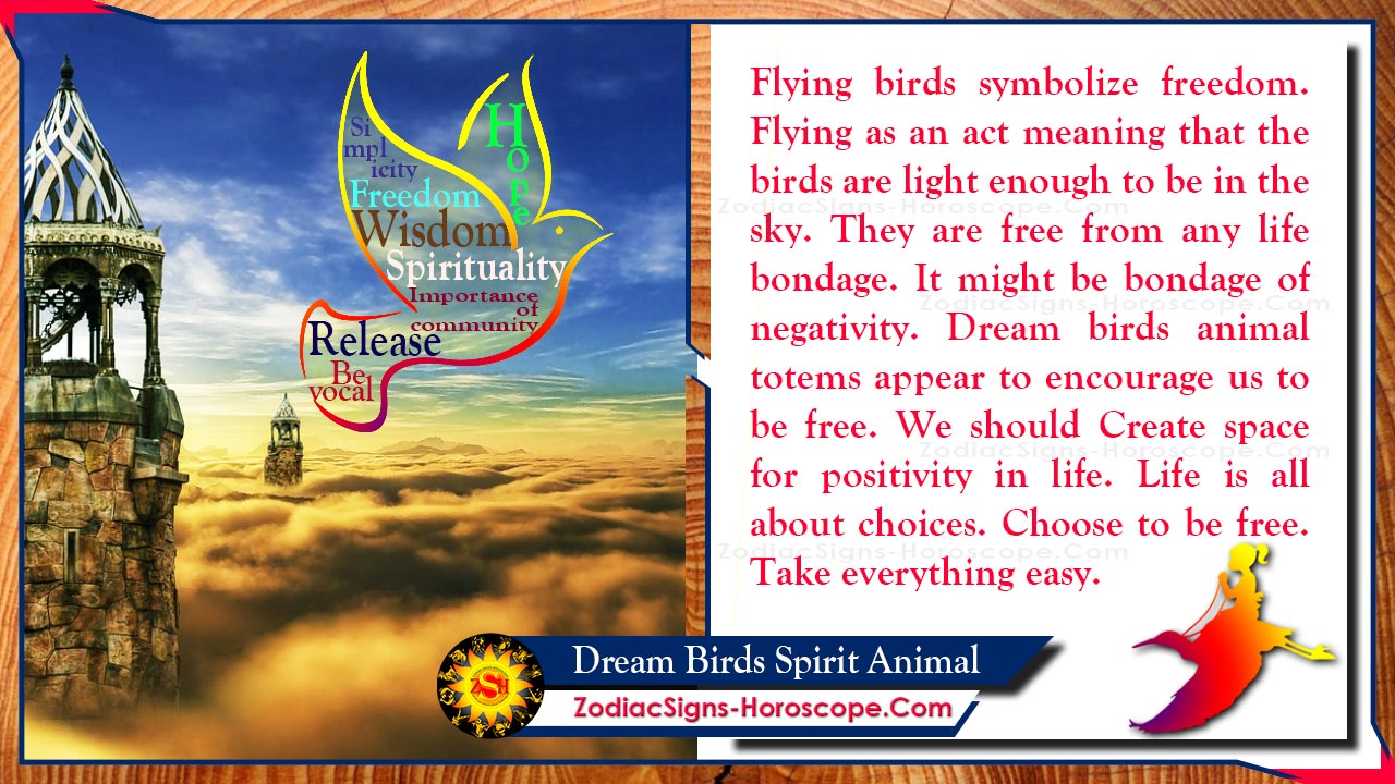Dream Birds Spirit Animal: Totem, Meaning, Messages, Symbolism | ZSH