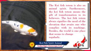 Koi Fish Spirit Animal: Totem, Meaning, Symbolism and Dreams | ZSH