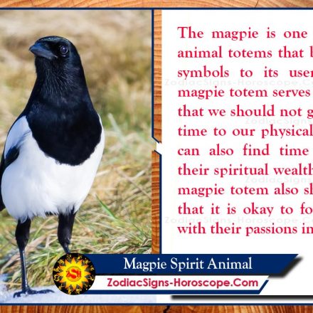 Koi Fish Spirit Animal: Totem, Meaning, Symbolism and Dreams | ZSH