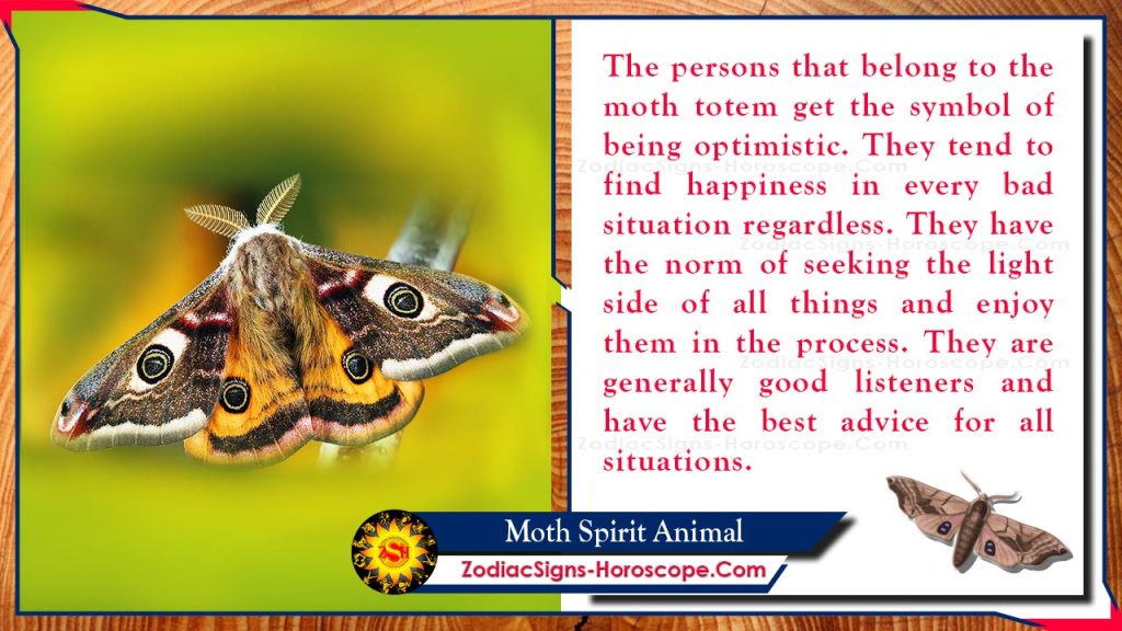 Moth Spirit Animal: Totem, Meaning, Symbolism and Dreams | ZSH