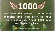 Angel Number 1000 Represents Grand and Meaningful Finishes | ZSH