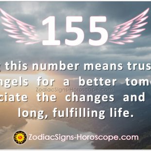 Angel Number 144 Says Align Your Life Ambitions With The Angels | ZSH