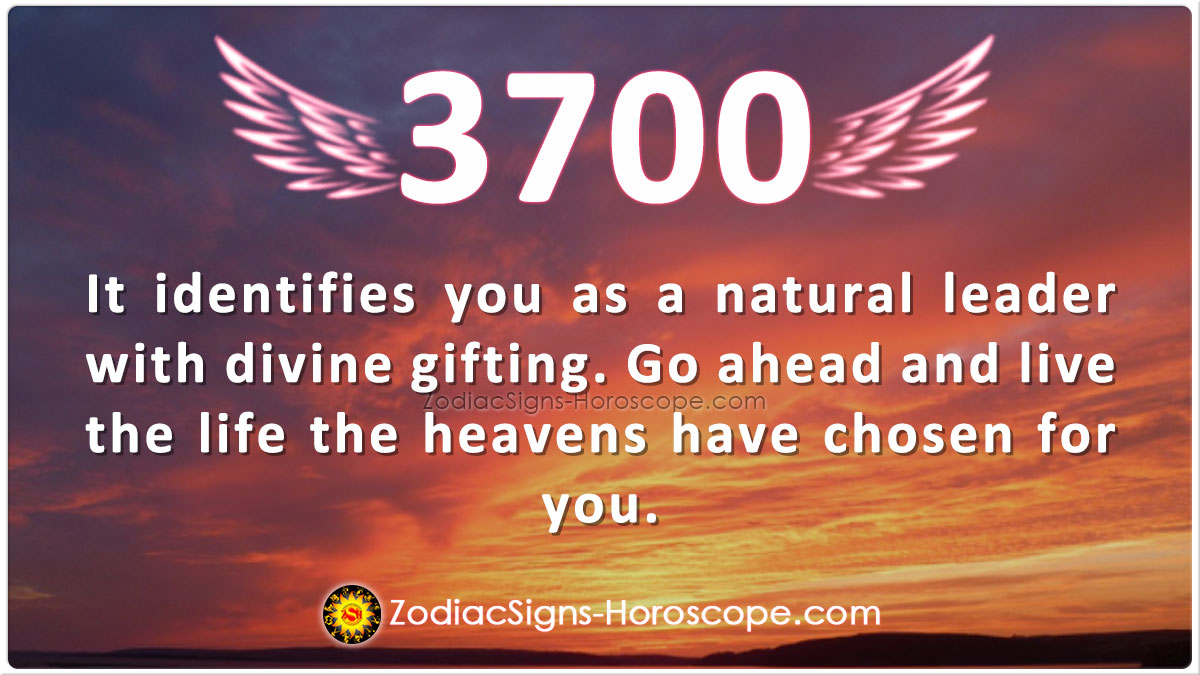 Angel Number 3700 Accurate Meaning: Born A Leader | ZSH