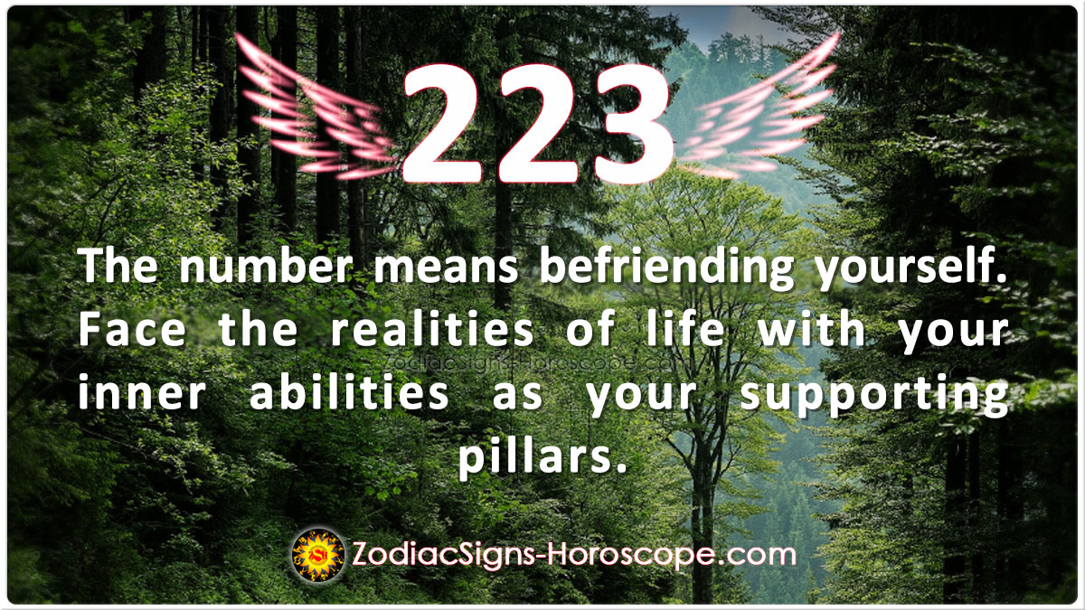 Angel Number 223 says Be Your Best Friend and Start Living today | ZSH