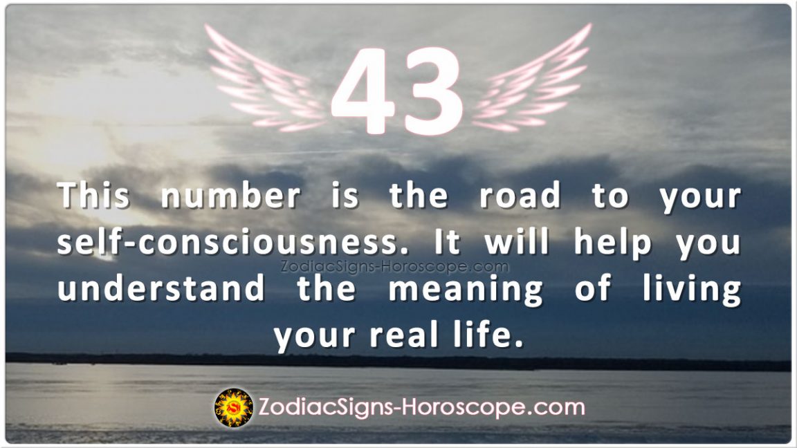 Angel Number 43 is the Road to Your Self-Consciousness | ZSH