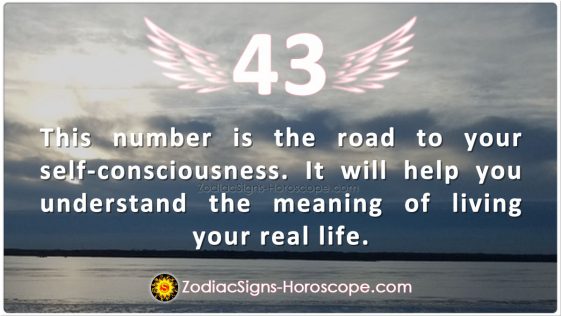 Angel Number 43 is the Road to Your Self-Consciousness | ZSH