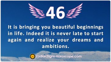 Angel Number 46 is Bringing You Beautiful Beginnings in Life | ZSH