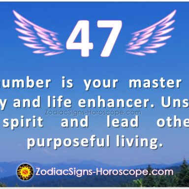 Angel Number 46 is Bringing You Beautiful Beginnings in Life | ZSH