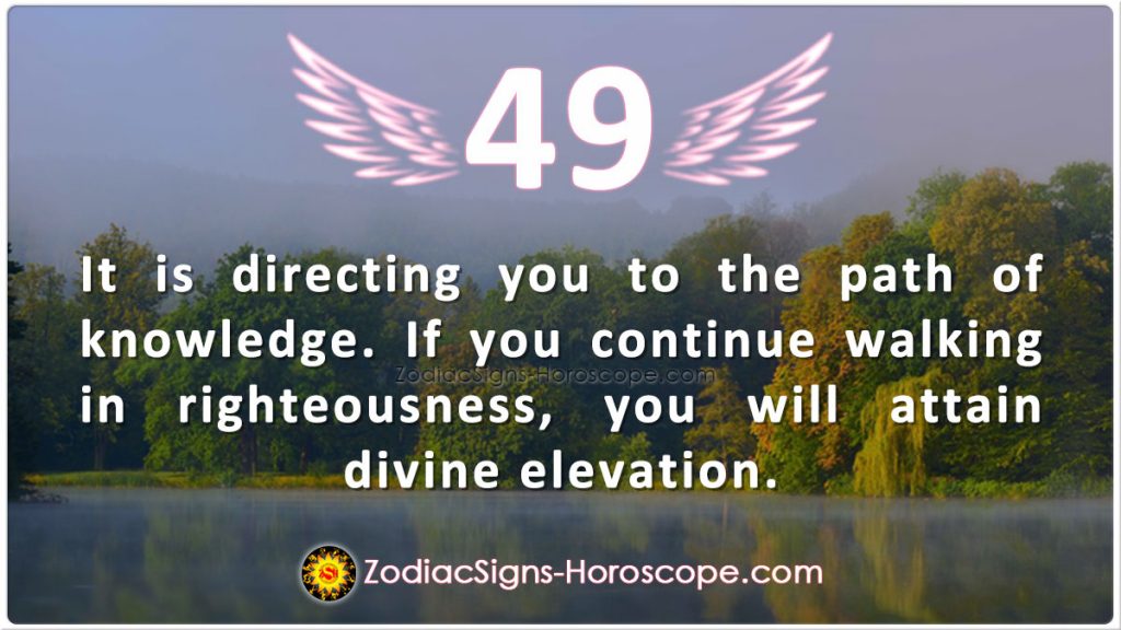 Angel Number 49 is Directing You to the Path of Knowledge | ZSH