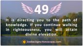 Angel Number 49 is Directing You to the Path of Knowledge | ZSH