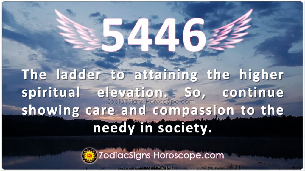 エンジェルナンバー5446はより高い精神的高揚を達成するためのはしごです