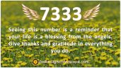 Angel Number 7333 Means Learning to Appreciate Life in All Situations