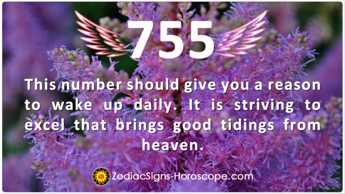 Angel Number 755 is striving to excel that brings good tidings from heaven