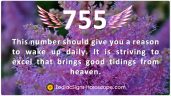 Angel Number 755 is striving to excel that brings good tidings from heaven