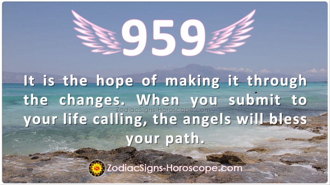 Angel Number 959 is the hope of making it through the changes | ZSH