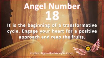 Angel Number 0880: Freedom, Discernment and Good Judgment - ZSH