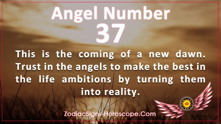 Angel Number 37 is the Coming of a New Dawn | ZSH
