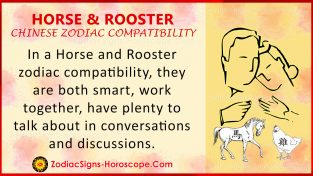 Horse and Rooster Chinese Zodiac Compatibility: Love and Relationship