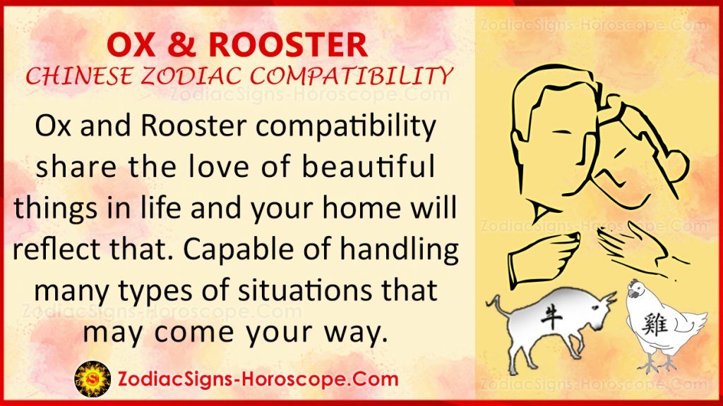 Ox and Rooster Love Compatibility, Relationship, Traits in Chinese Zodiac